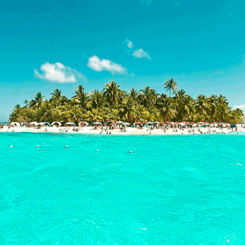 Receptivos - Agencia de Viajes